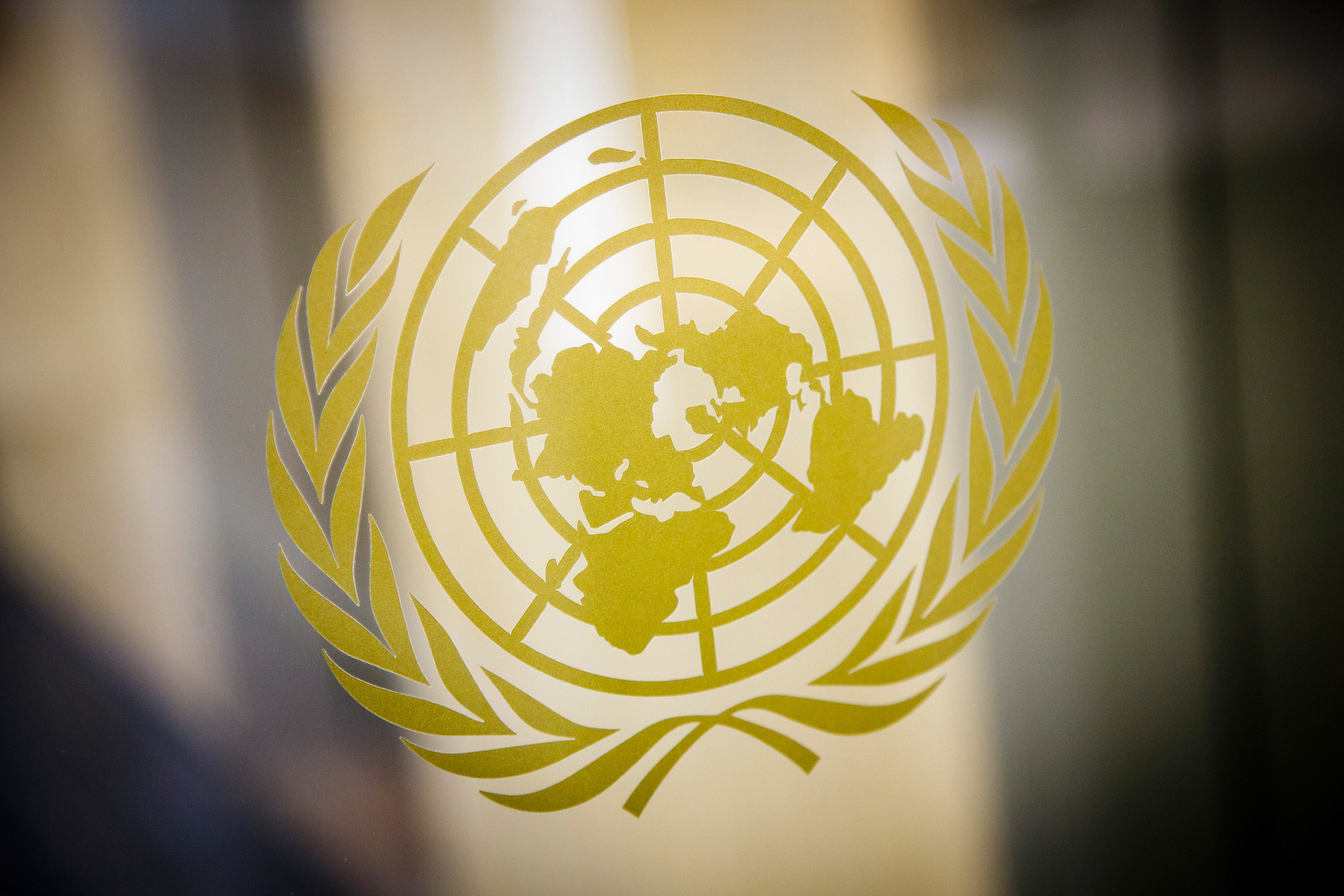 United Nations logo