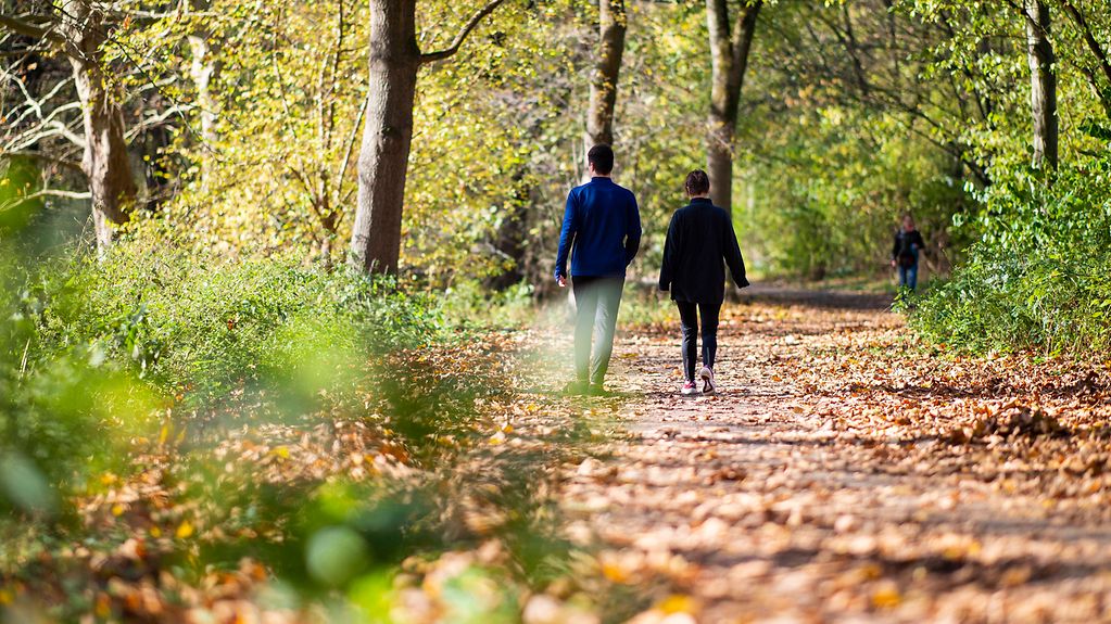 Elegantes Spazieren Gehen In Der Nhe Ebenbild